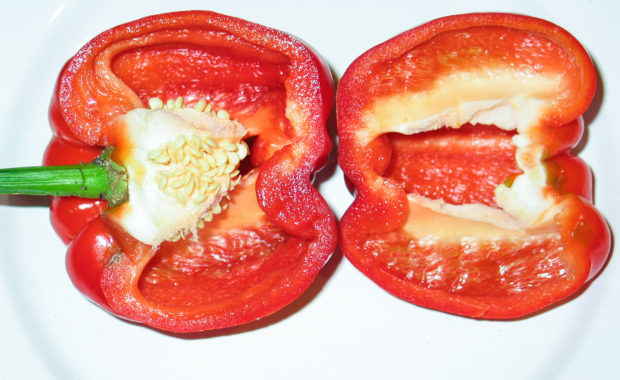 Lada Besar Pendek - Chilisorten