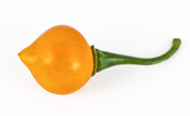 Ají Chay - Chilisorten